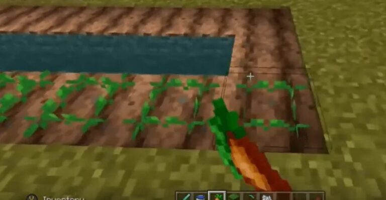 How to Find Carrots in Minecraft (All Versions 2023)