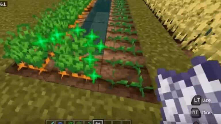 How to Find Carrots in Minecraft (All Versions 2023)