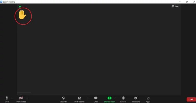 How to Raise Hand in Zoom Meeting [Complete Guide]
