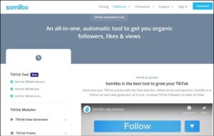 10 Best TikTok Bots 2023: Auto Shares, Likes & Views for Growth - Ricky ...