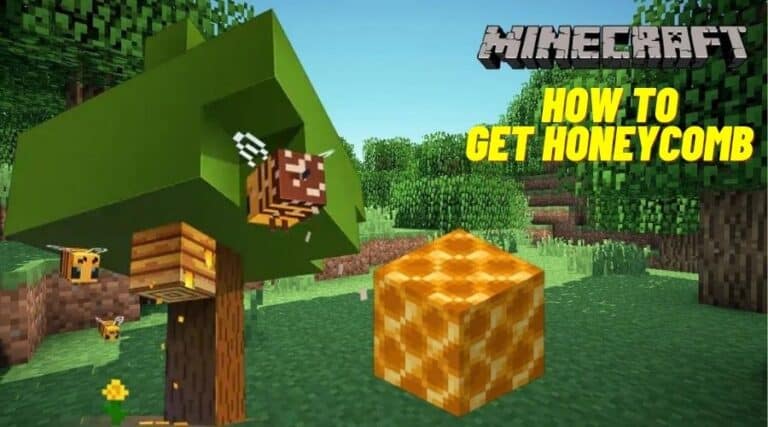 How to Get Honeycomb in Minecraft in 2023 | Ricky Spears