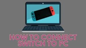 How to Connect Switch to PC for Screen Gaming | Ricky Spears