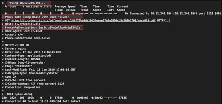 How to use cURL with proxy? (With proxy authentication) - Ricky Spears