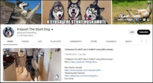 15 Best Dog Youtube Channels for Canine Lovers in 2025