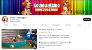 15 Best Dog Youtube Channels for Canine Lovers in 2025