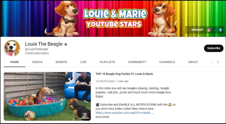 15 Best Dog Youtube Channels for Canine Lovers in 2025