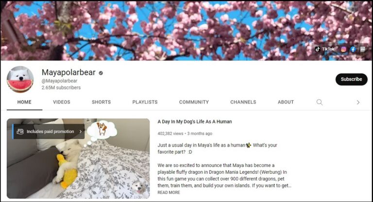 15 Best Dog Youtube Channels for Canine Lovers in 2025