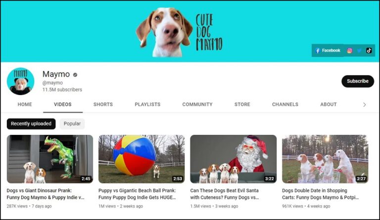 15 Best Dog Youtube Channels for Canine Lovers in 2025
