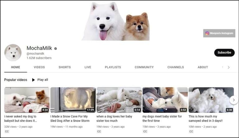 15 Best Dog Youtube Channels for Canine Lovers in 2025