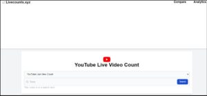 10 Best YouTube Live View Count Platforms [Realtime Audience]