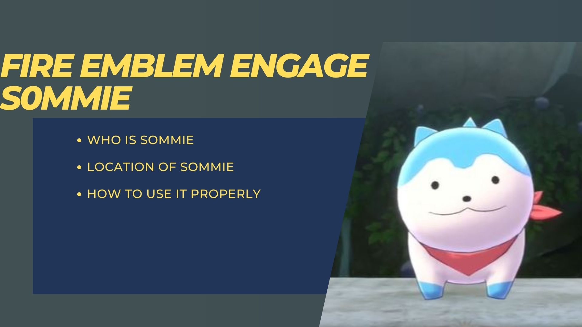 Fire Emblem Engage: An Expert Sommie Care Guide - Ricky Spears