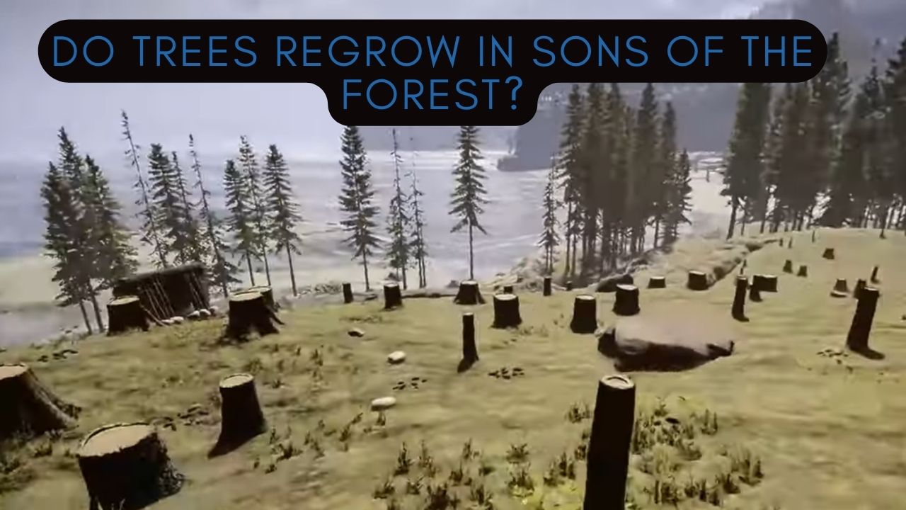 Do Trees Regrow in Sons of the Forest? A Passionate Gamer‘s Investigative Guide - Ricky Spears