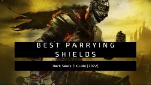 Mastering the Parry: An Expert‘s Guide to the Best Parrying Shields in ...