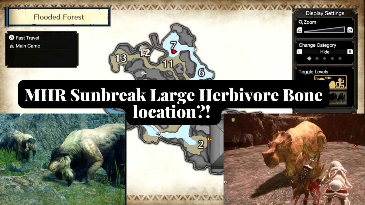 Monster Hunter Rise: The Ultimate 2000+ Word Guide to Farming Large ...