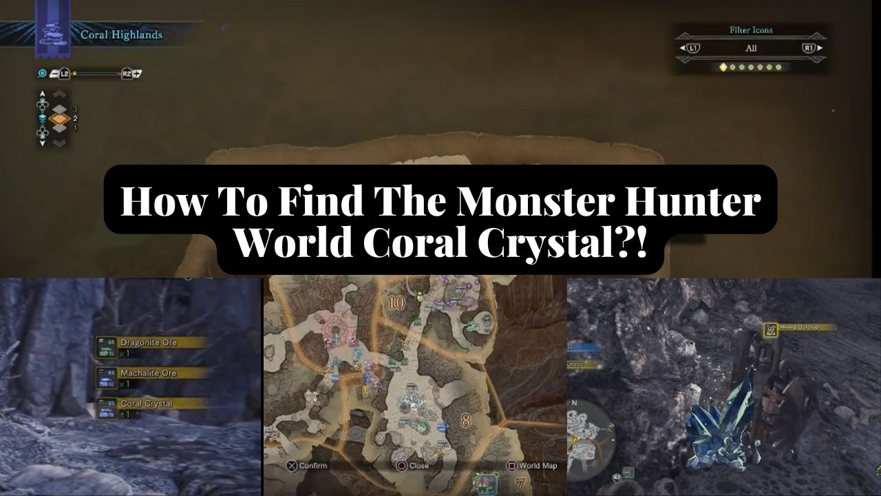 Unearthing the Treasures: A Guide to Coral Crystals in Monster Hunter ...