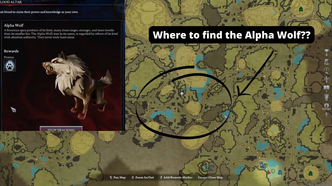 Unleash Your Inner Beast: An Epic Guide to V Rising‘s Elusive Alpha ...