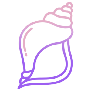 Unlocking the Mysteries of the Drained Conch Cup in Genshin Impact: A ...