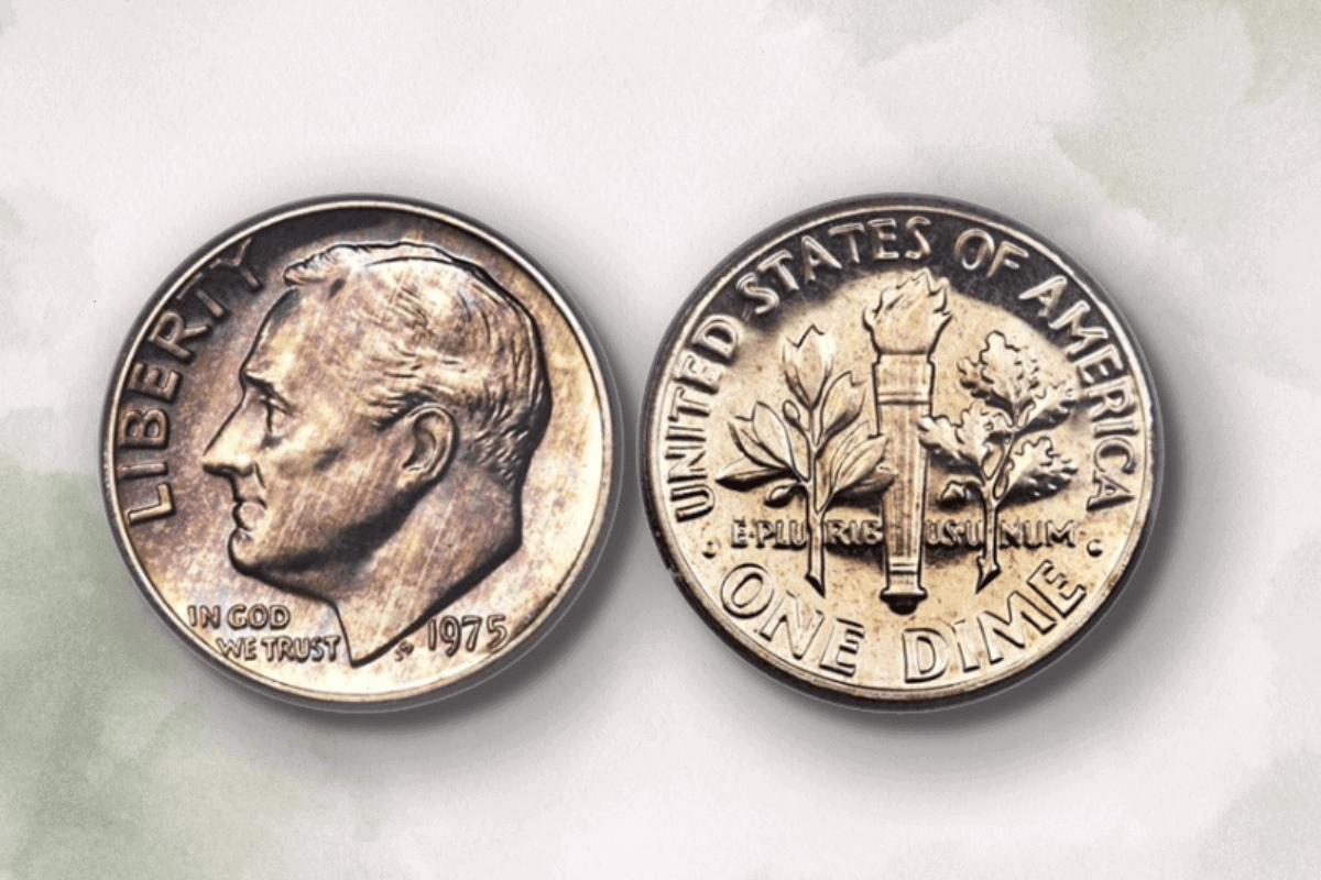 Rare Dimes: A Collector‘s Passionate Journey Through Numismatic ...