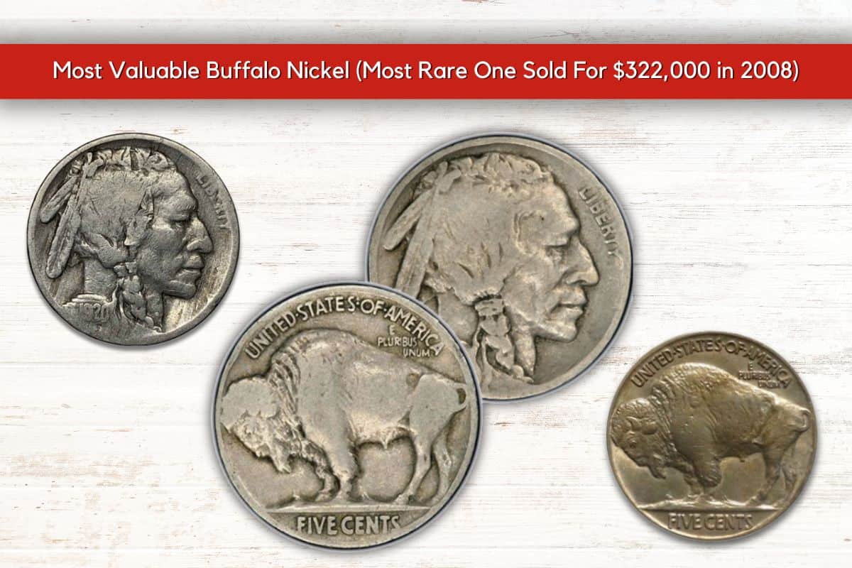 The Extraordinary World of Buffalo Nickels: A Collector‘s Passionate ...