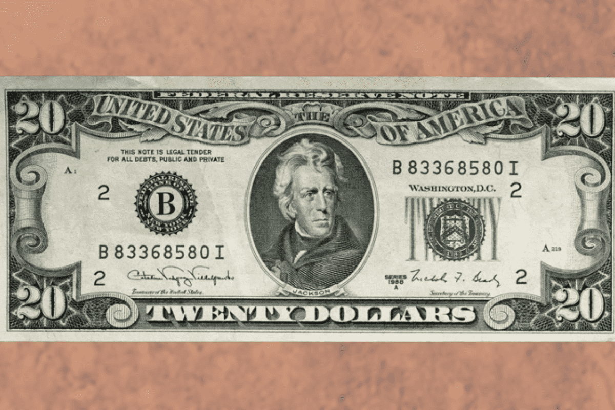 The $20 Bill: A Numismatist‘s Journey Through American History and ...